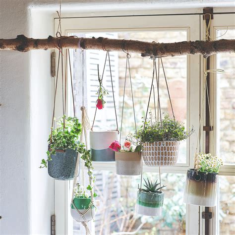 When To Repot Houseplants Be Quick The Time Is Nigh Ideal Home