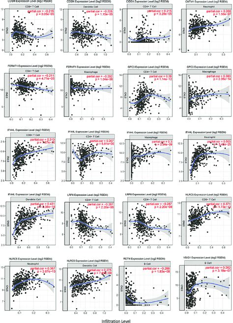 Scatter Plot Between Tumor Infiltrating Immune Cells And Immune Genes Scatter Plot Between Tumor Infiltrating Immune Cells And Immune Genes