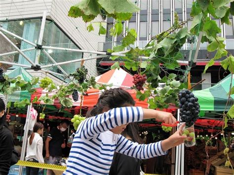 ヒルズマルシェ“大収穫祭” 人気のヒルズマルシェの特別企画 都会で楽しむ秋の味覚 東京都港区 いこーよとりっぷ