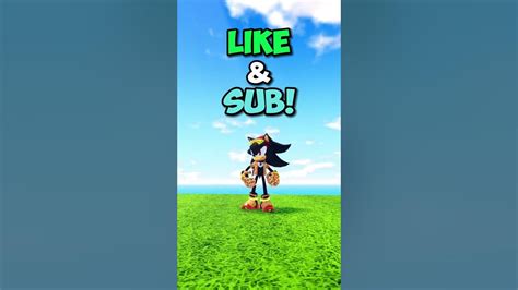 Cheetah Shadow Vs Zebra Sonic Sonic Speed Simulator Youtube