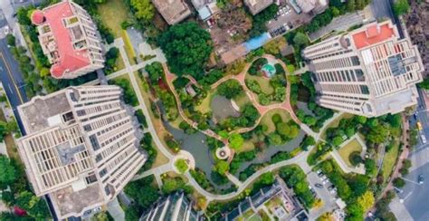 绿化率vs绿地率一字之差有何区别 腾讯新闻