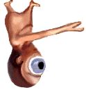 Homo Desktop Computer Optimised Human For Desktop Computing