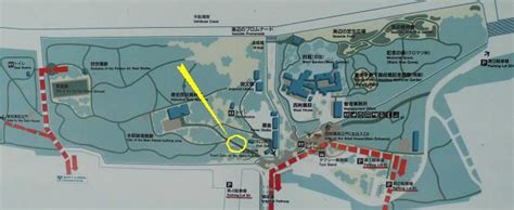 沼津御用邸記念公園紫陽花アジサイ沼津市 静岡県観光名所わが街だいすき