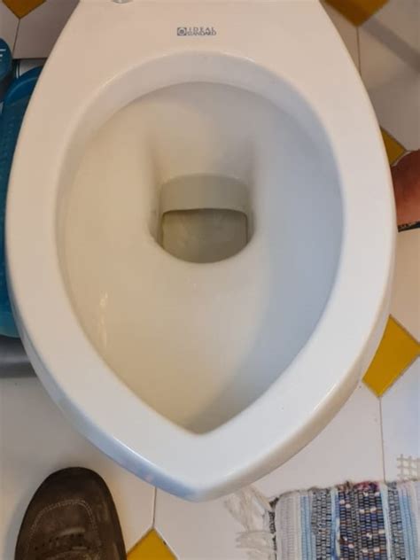 Sedile Wc Copriwater Per Modello Ellisse Due Marca Ideal Standard Il Tuo Bagno Online