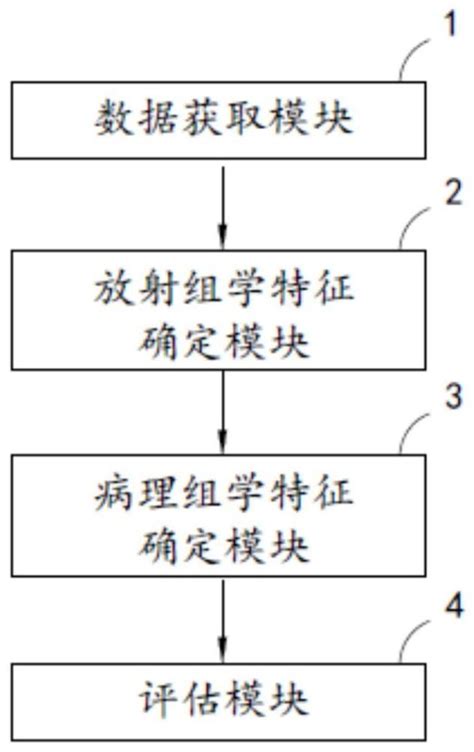 基于放射组学和病理组学的肠癌新辅助化疗疗效评估系统的制作方法