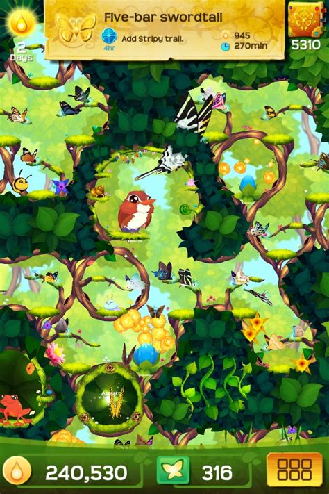 Flutter Butterfly Sanctuary All Saltar Butterflies Radardopca