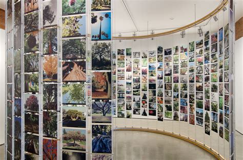 Exhibitions City Of Palo Alto Ca