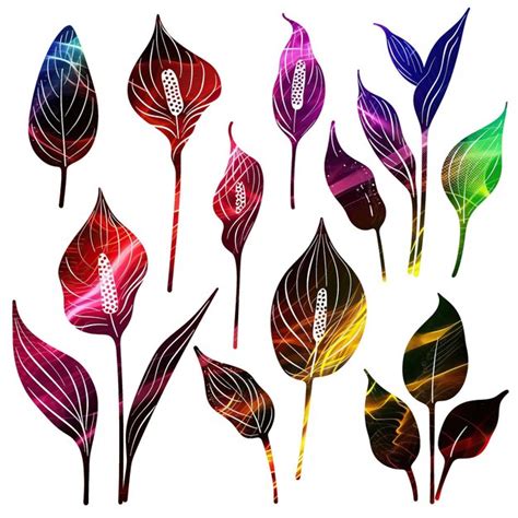Premium Vector Peace Lily Flat Vector Linea Set Illustration High Quality