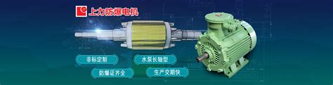 Siemens西门子sinamicsv20变频器