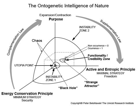 Unicist Logic A Universal Logic Unicist Conceptual Engineering
