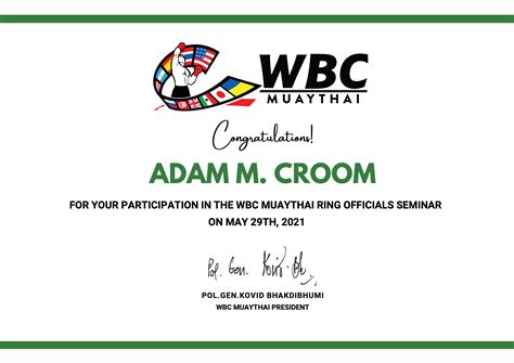 Martial Arts Adam M Croom Ph D