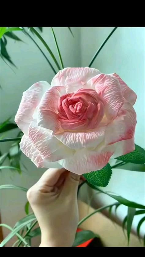 Pin De Glow Decor Ideas En Diy Decoración De Floristería Flores