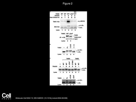Volume 15 Issue 4 Pages August 2004 Ppt Download