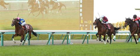 【デイリー杯2歳s】3番人気オールパルフェが押し切る レース史上初の関東馬v競馬・レースデイリースポーツ Online