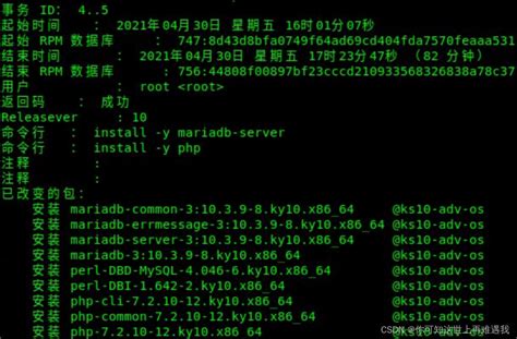 银河麒麟高级服务器操作系统v10 系统管理员手册：04 安装和管理软件银河麒麟操作系统v10安装软件 Csdn博客