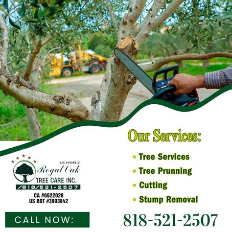 Royal Oak Tree Care Inc