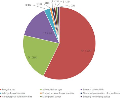 Modified Sphenoidotomy For Isolated Sphenoid Sinus Disease A Series Of