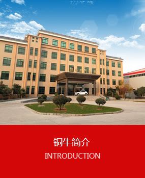 河南铜牛变压器有限公司 铜牛变压器 特种变压器厂家 电力变压器 节能变压器