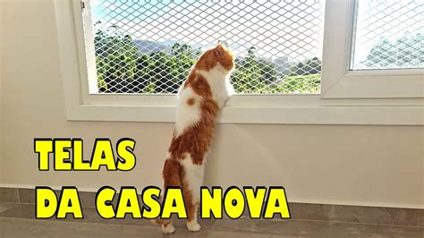 Telas Para Gatos Na Casa Nova Gatil Hauser Youtube