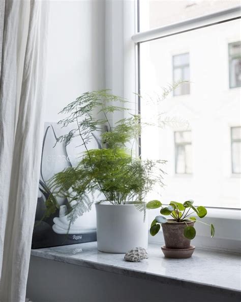 Large Window Sill 74 Photo