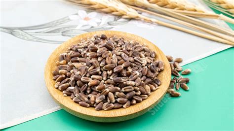 Food Ingredients Wheat Plate Powerpoint Background For Free Download
