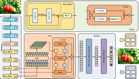 Frontiers Lightweight Tomato Ripeness Detection Algorithm Based On