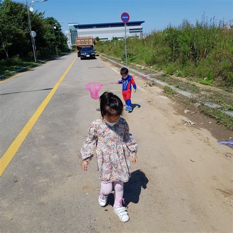육아 일기 다은이 한결이 남매와 주말 공원 나들이~ 네이버 블로그
