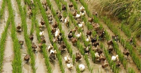 경북도 친환경농업에 974억원 투자