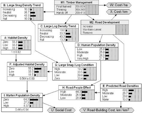 Example Of A Bayesian Belief Network Model Predicting How Decisions