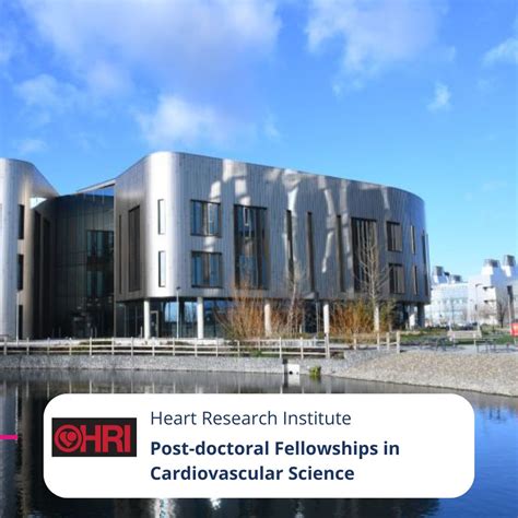 Fellowship Postdoc Postdoclife Academia Jobsacuk