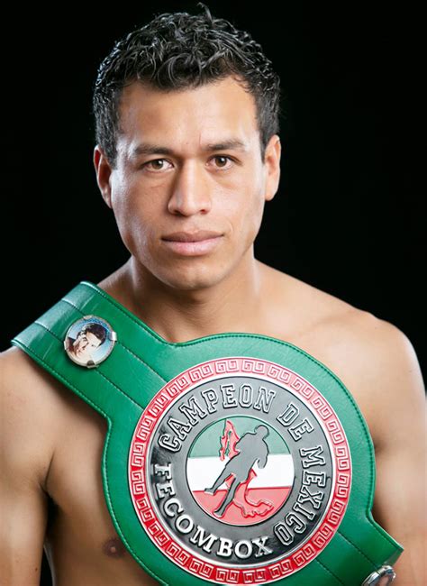 Gatito Pérez Se Prepara Para Mostrar Su Mejor Box En 2023 Brunoticias