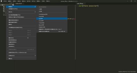 Javascript入门第一课使用嵌入式引入javascript实现在页面弹出警告框 Csdn博客