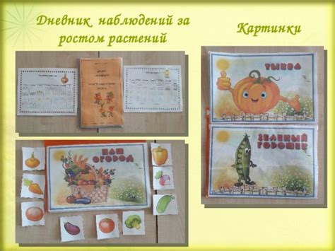 Картинка дневник наблюдений веселого огорода 42 фото