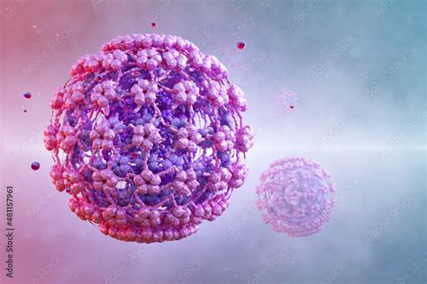 Human Papillomavirus Hpv Infection Structure Sexually Transmitted Dna Virus Strain Infect