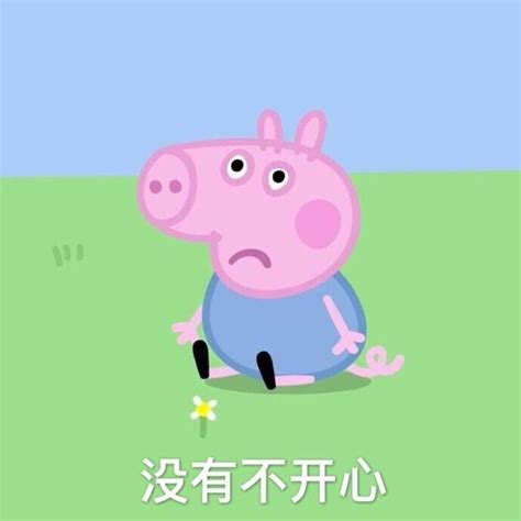 今天依舊是精緻的豬豬女孩 每日頭條