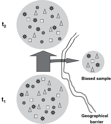 Genetic Drift Comparative Psychology Evolution And Development Of Brain And Behavior