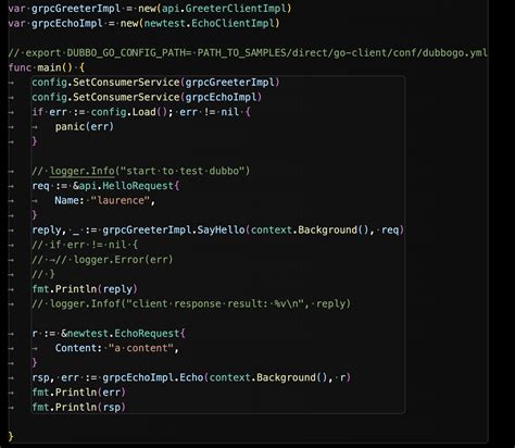 Panic When Define A Echo Service · Issue 2084 · Apachedubbo Go · Github