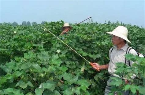 化肥又現新騙局，農友們要警惕了 每日頭條