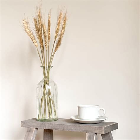 Dried Wheat Stems X9 Dried Wheat Timeless Interiors Wheat