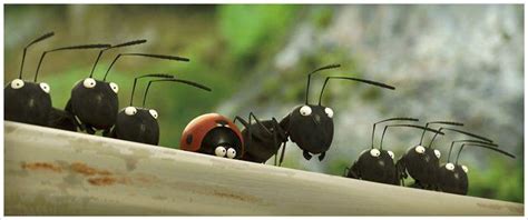 Minuscule The Valley Of The Lost Ants Reviews Screen