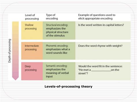 Ppt Memory Encoding Storage And Retrieval Powerpoint Presentation Id1113392