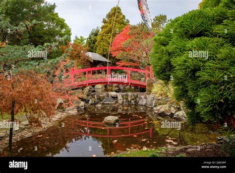 Around Hobart Royal Tasmanian Botanical Gardens Japanese Garden