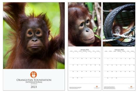 Orangutan Foundation International Australia