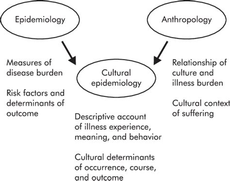 Integrative Framework For Cultural Epidemiology Sourcereprinted From