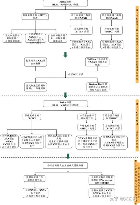 强推！国自然本子的4种技术路线图绘制逻辑 知乎