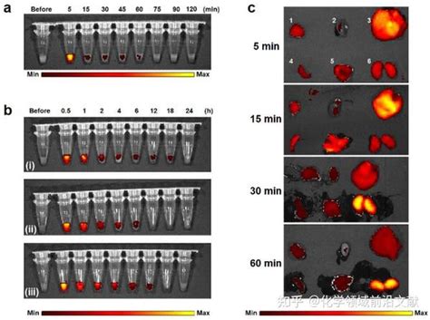 四川大学林云锋教授团队adv Mater：肿瘤微环境响应仿生膜搭载her2适配体修饰后dna四面体 美登素偶联药物后对her2阳性肿瘤的抑制