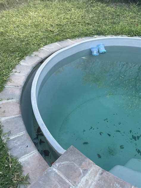 Why Is The Catch Basin On My Overflow Pool Overflowing When The Pump Is