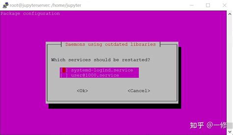 jupyter notebook服务器搭建之：jupyter notebook安装 知乎