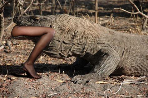 Tried To Get Outbut Nope R SnakeVoreErotic