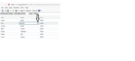 angular ag grid clear text input issue stack overflow
